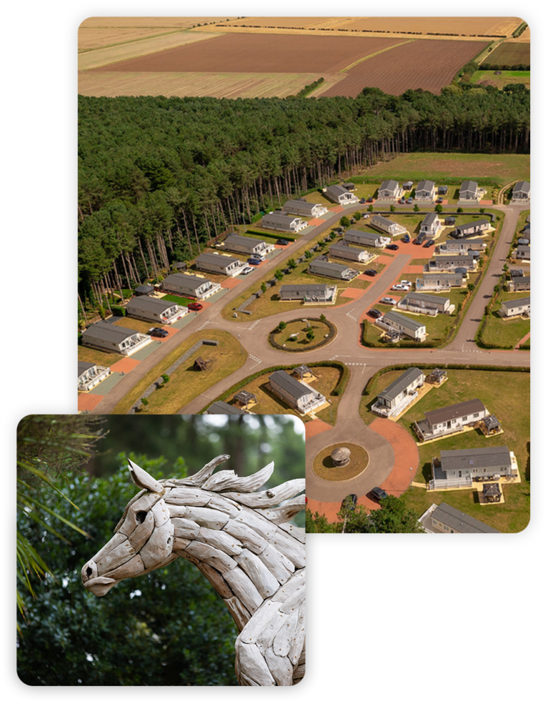 Don Amott Parks Special Edition Caravan | The Eminence